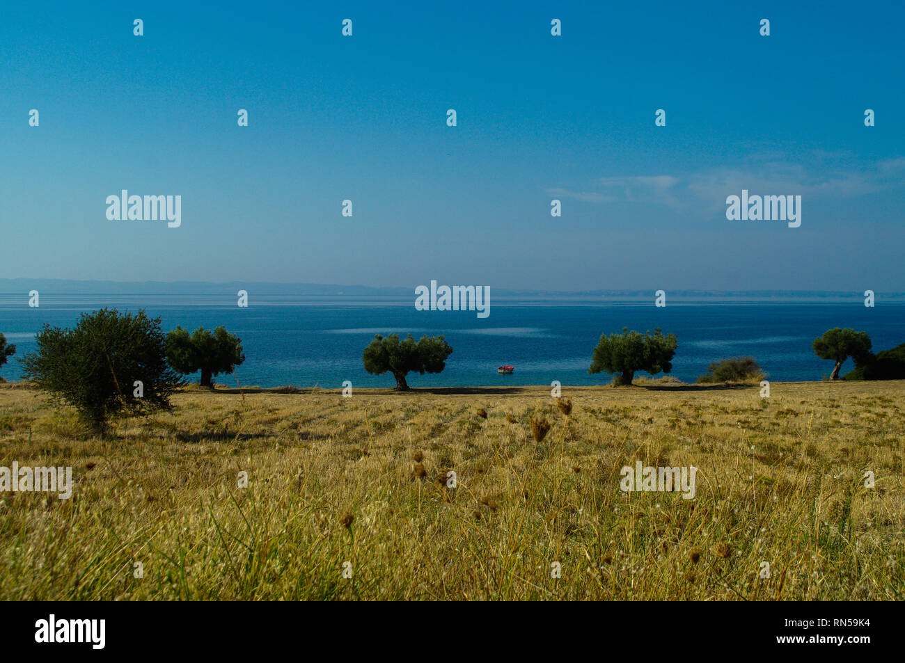 Typical greek landscape hi-res stock photography and images - Alamy