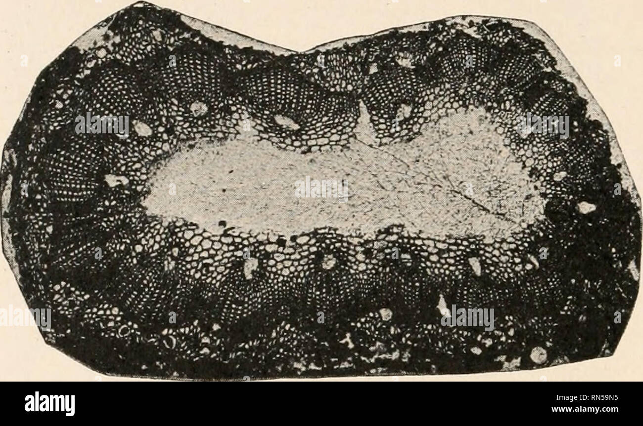 Pitted sculpture hi-res stock photography and images - Alamy