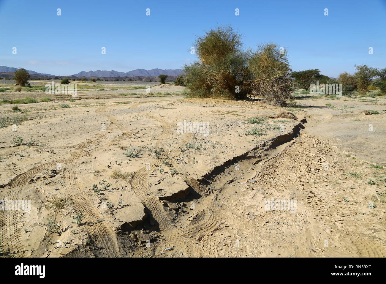 in sudan africa the cracked ground in the nubian desert concept of wild ...