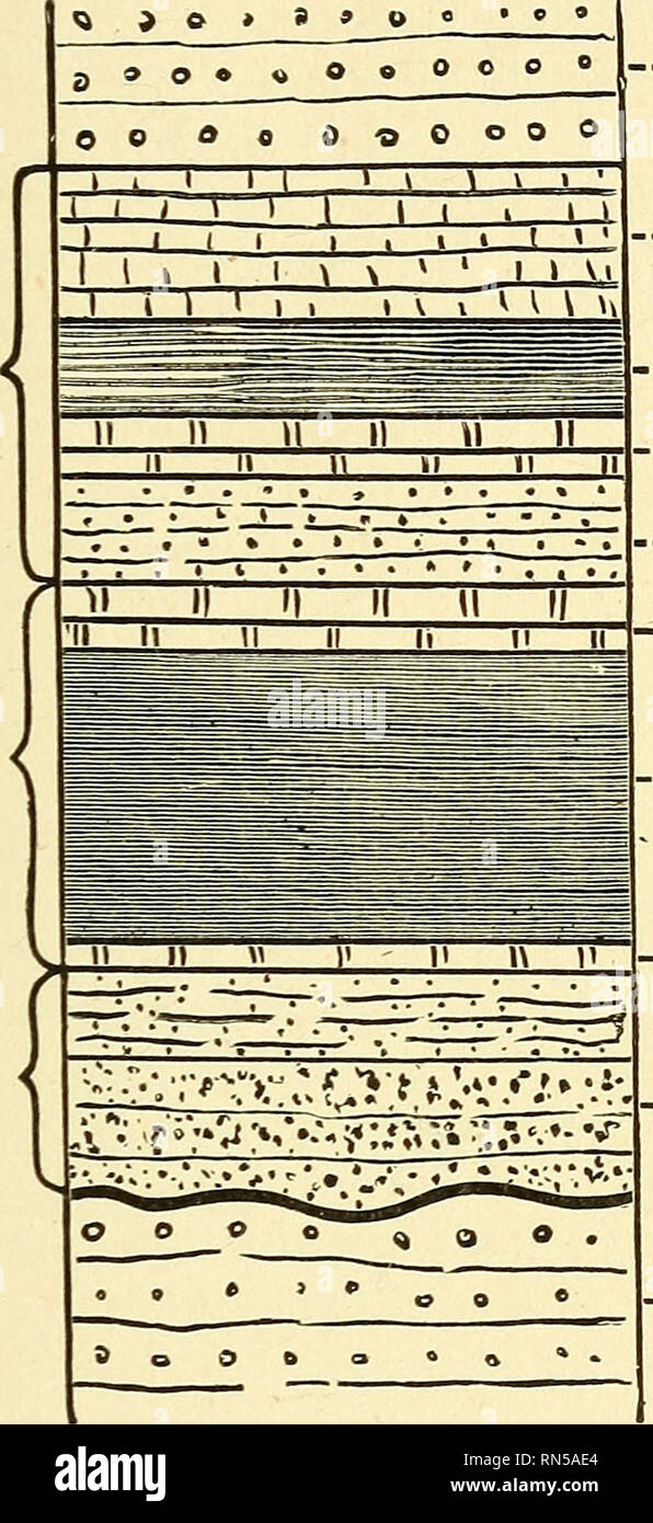 . The ancient life-history of the earth; a comprehensive outline of the ...