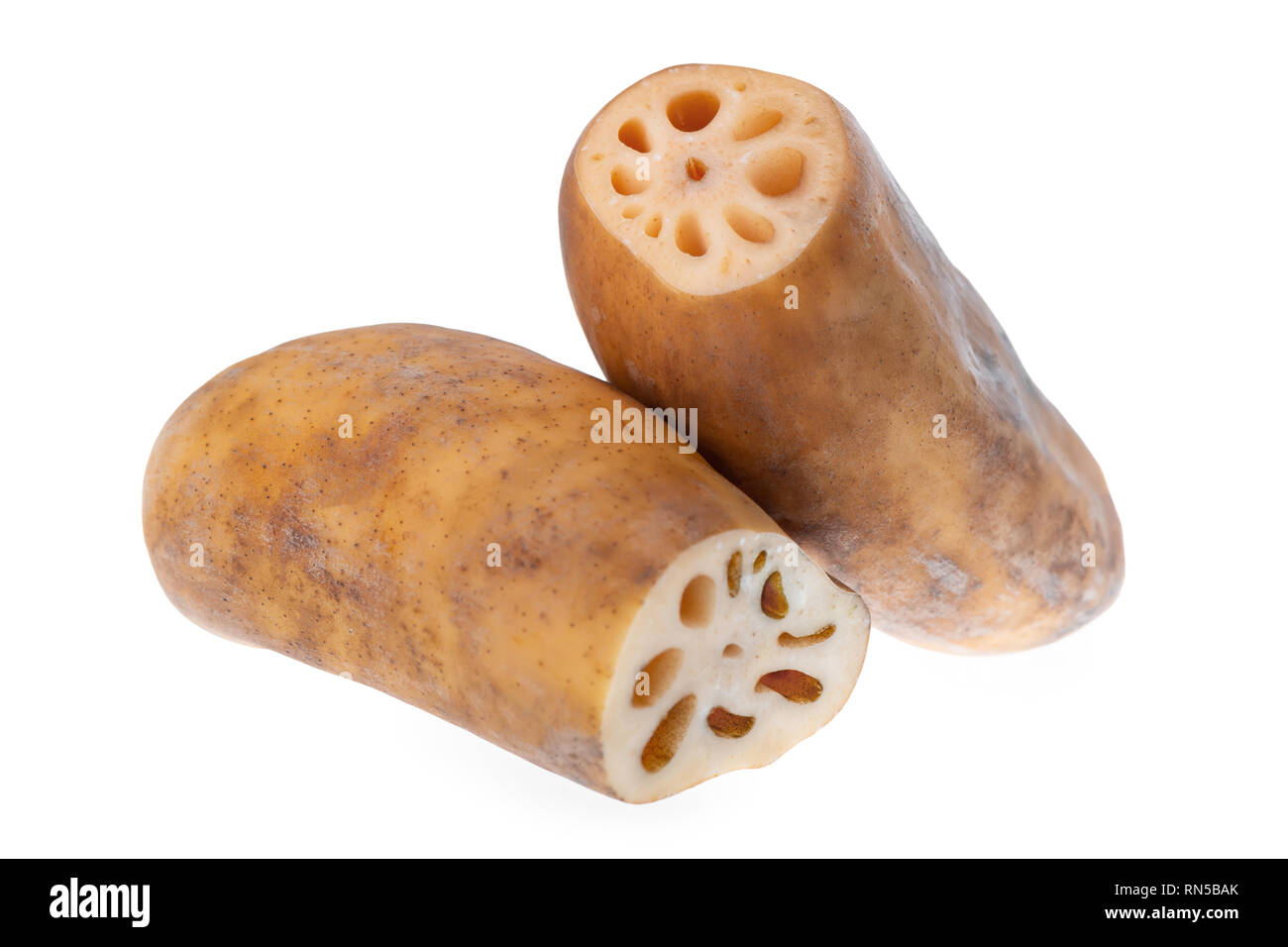 raw lotus roots ready for cooking isolated on white background, concept ...