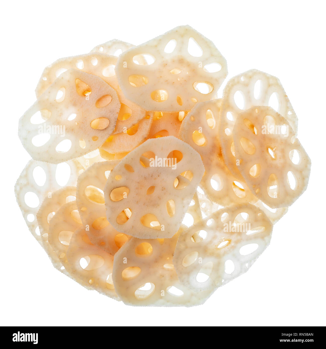 Loto nucifera hi-res stock photography and images - Alamy