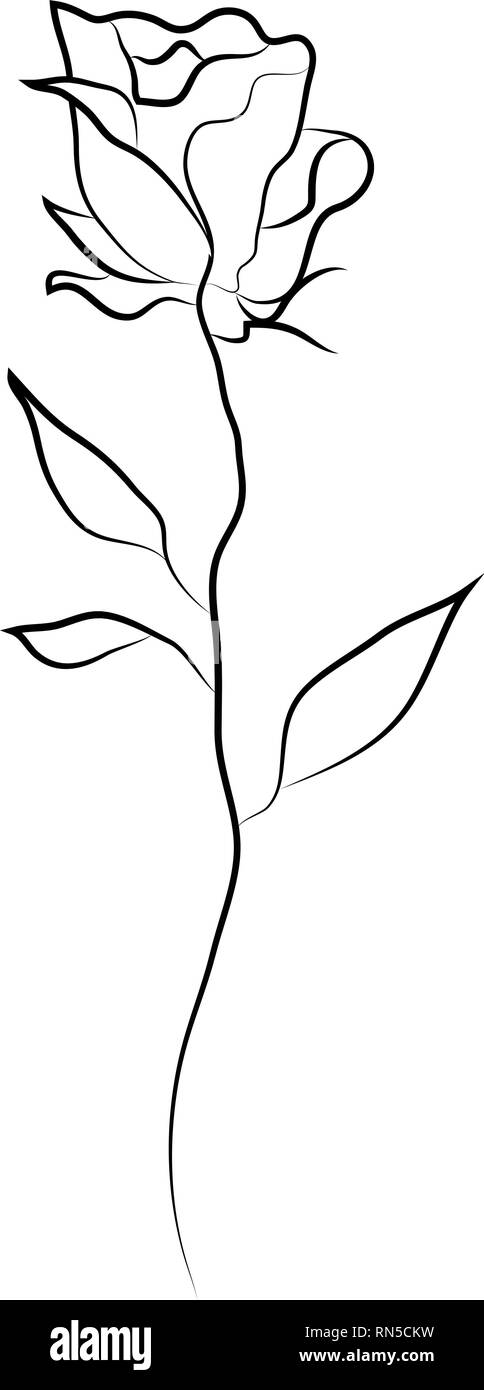 One line rose design. Hand drawn minimalism style vector illustration ...