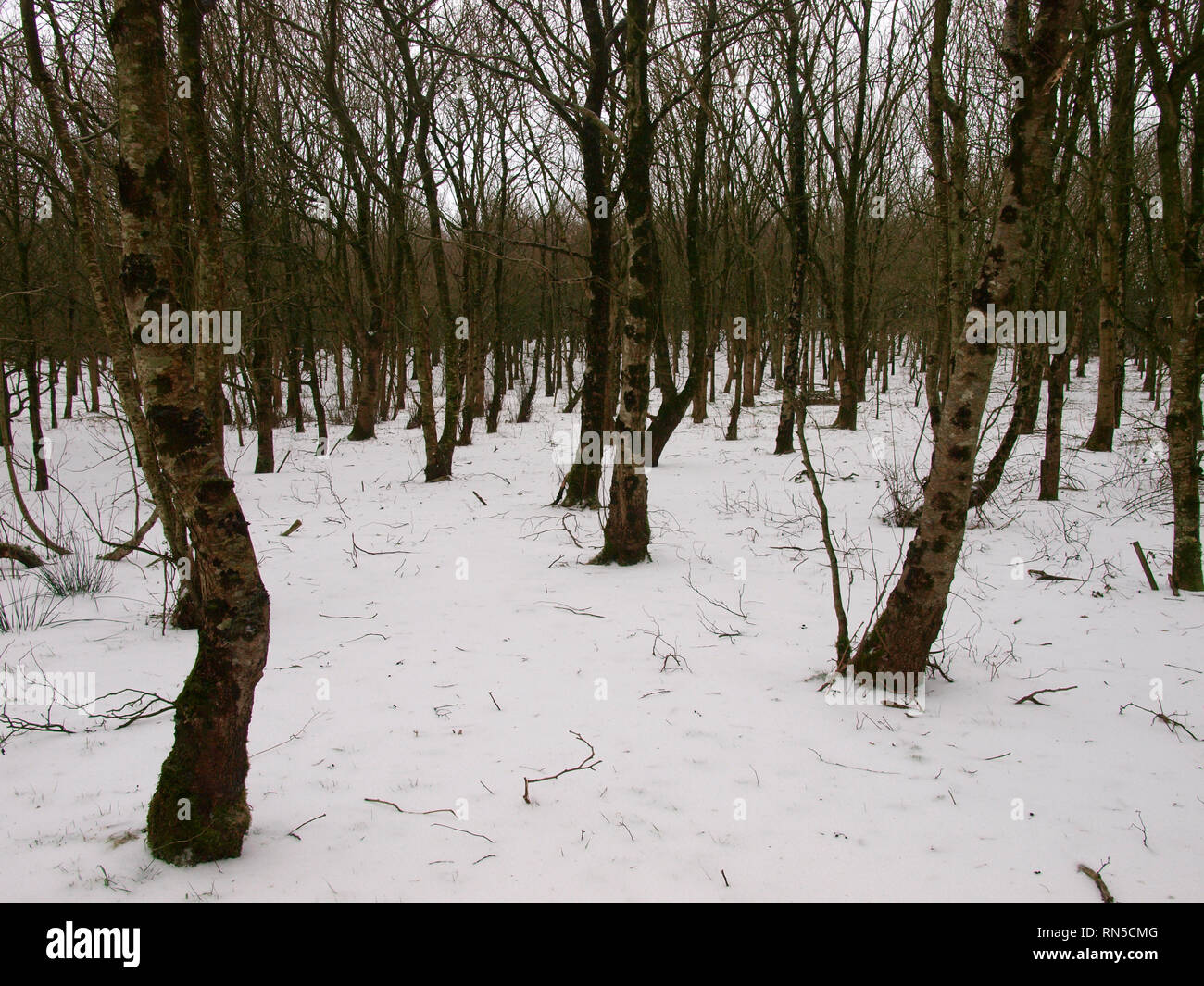 Snow cornwall hi-res stock photography and images - Alamy