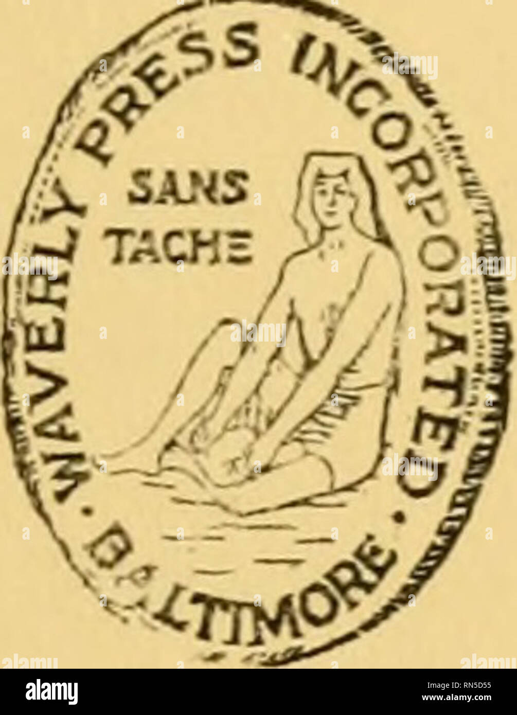 . Anatomy of the wood rat; comparative anatomy of the subgenera of the ...