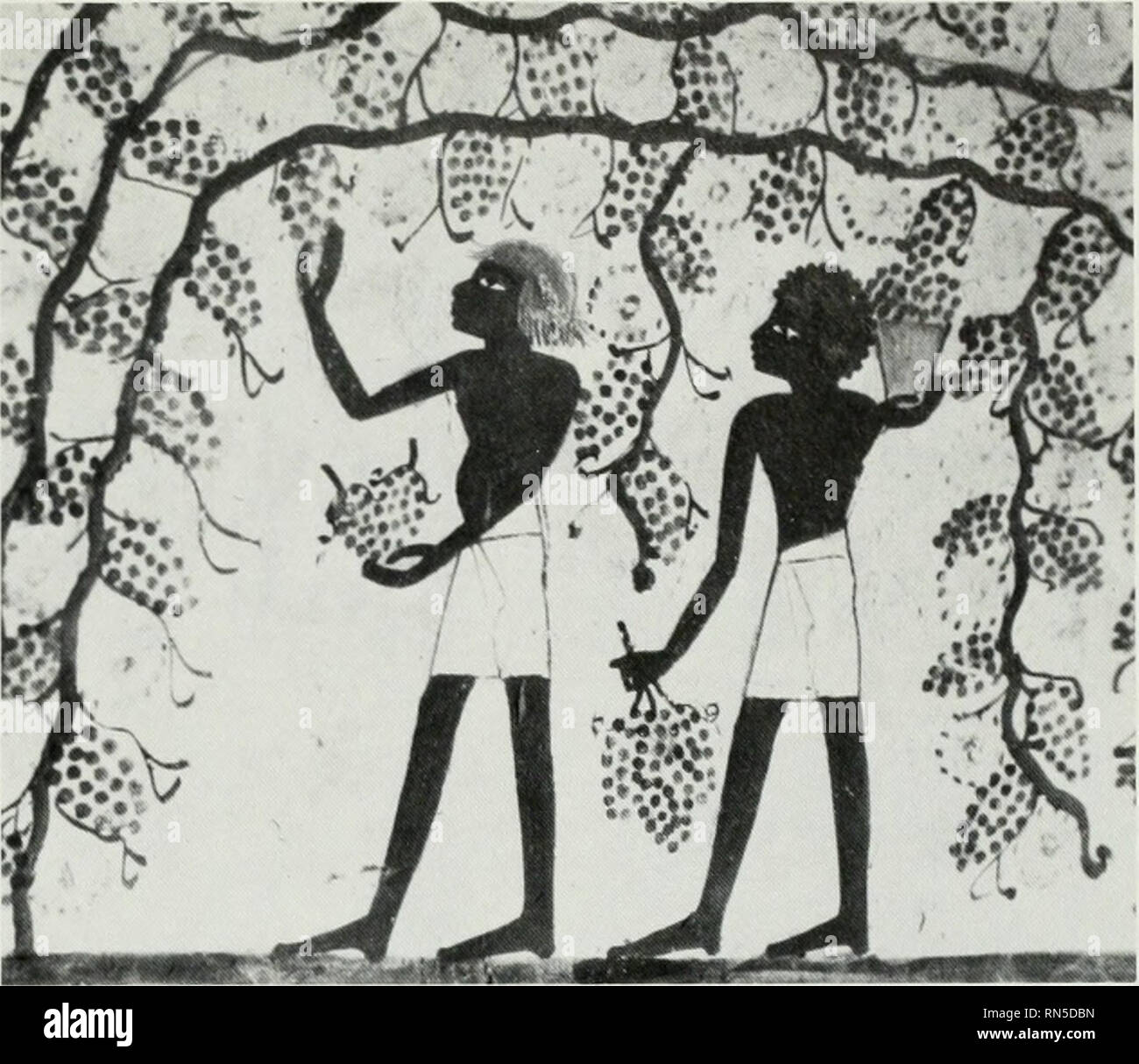 Non royal theban tomb hi-res stock photography and images - Alamy