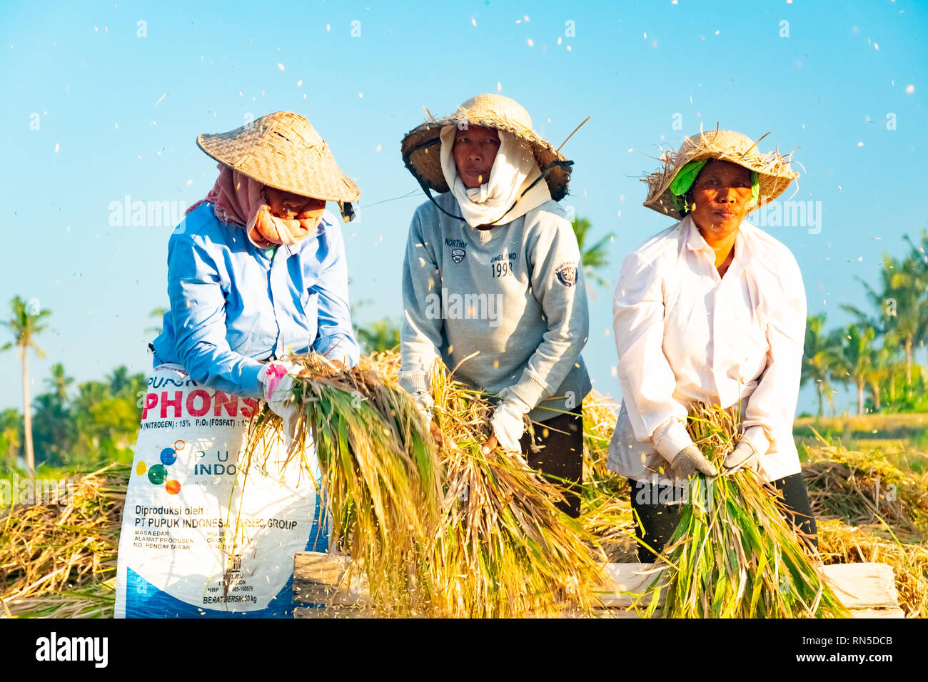 BALI, INDONESIA - April 12, 2018: Female Balinese farm-workers laugh as ...