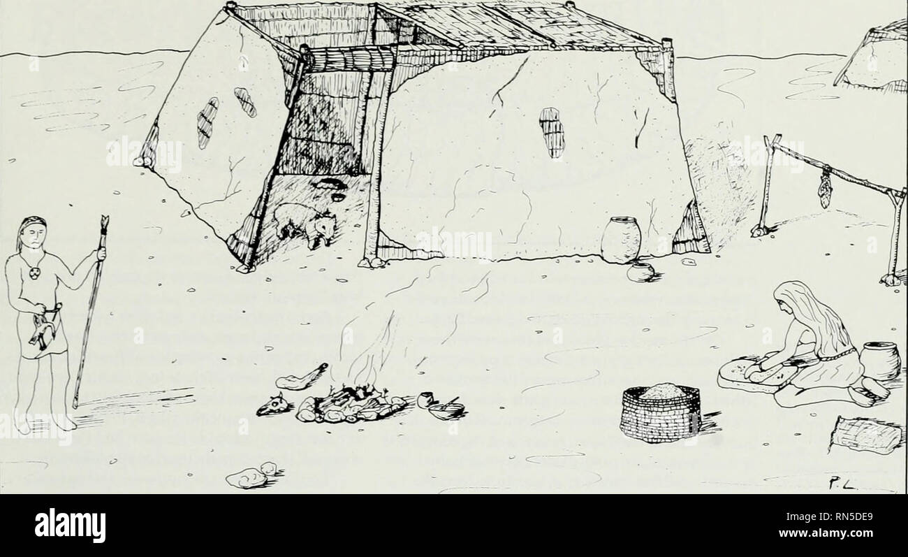 . Ancient Egypt. Egyptology. tered reed mats were set. These houses ...