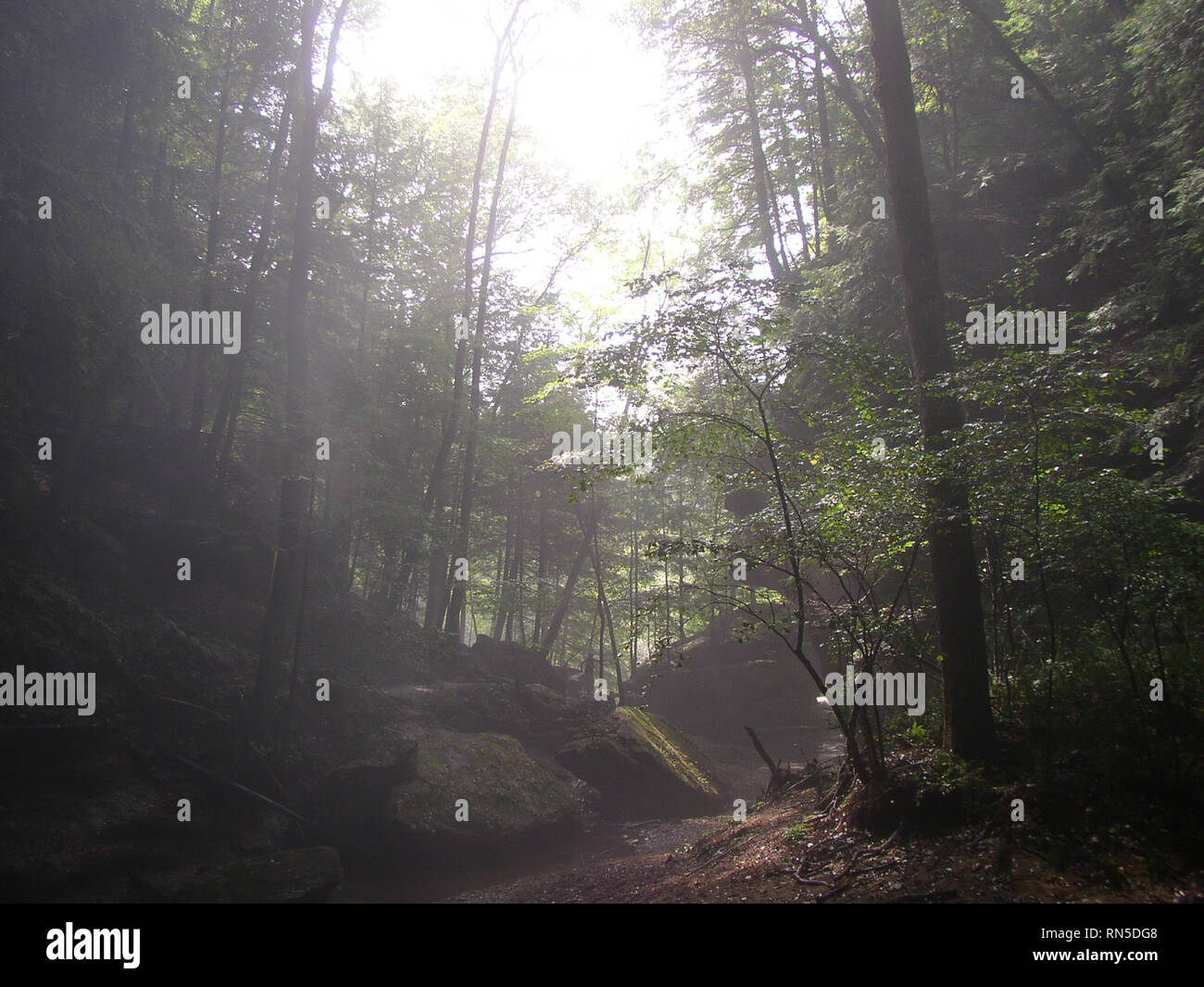 Old Man's Cave, Hocking Hills State Park, Ohio Stock Photo - Alamy