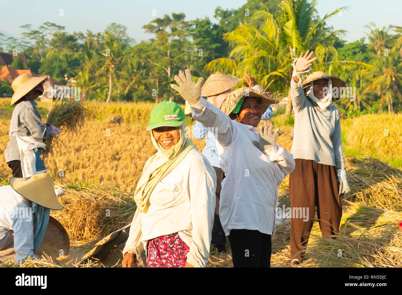 BALI, INDONESIA - April 12, 2018: Female Balinese farm-workers laugh as ...