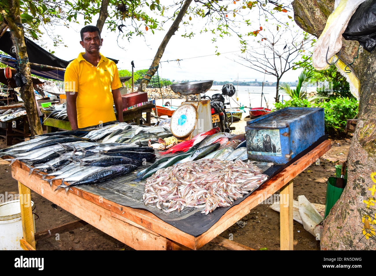 Fishermen, Galle Fish Market, Galle, Sri Lanka Stock Photo - Alamy