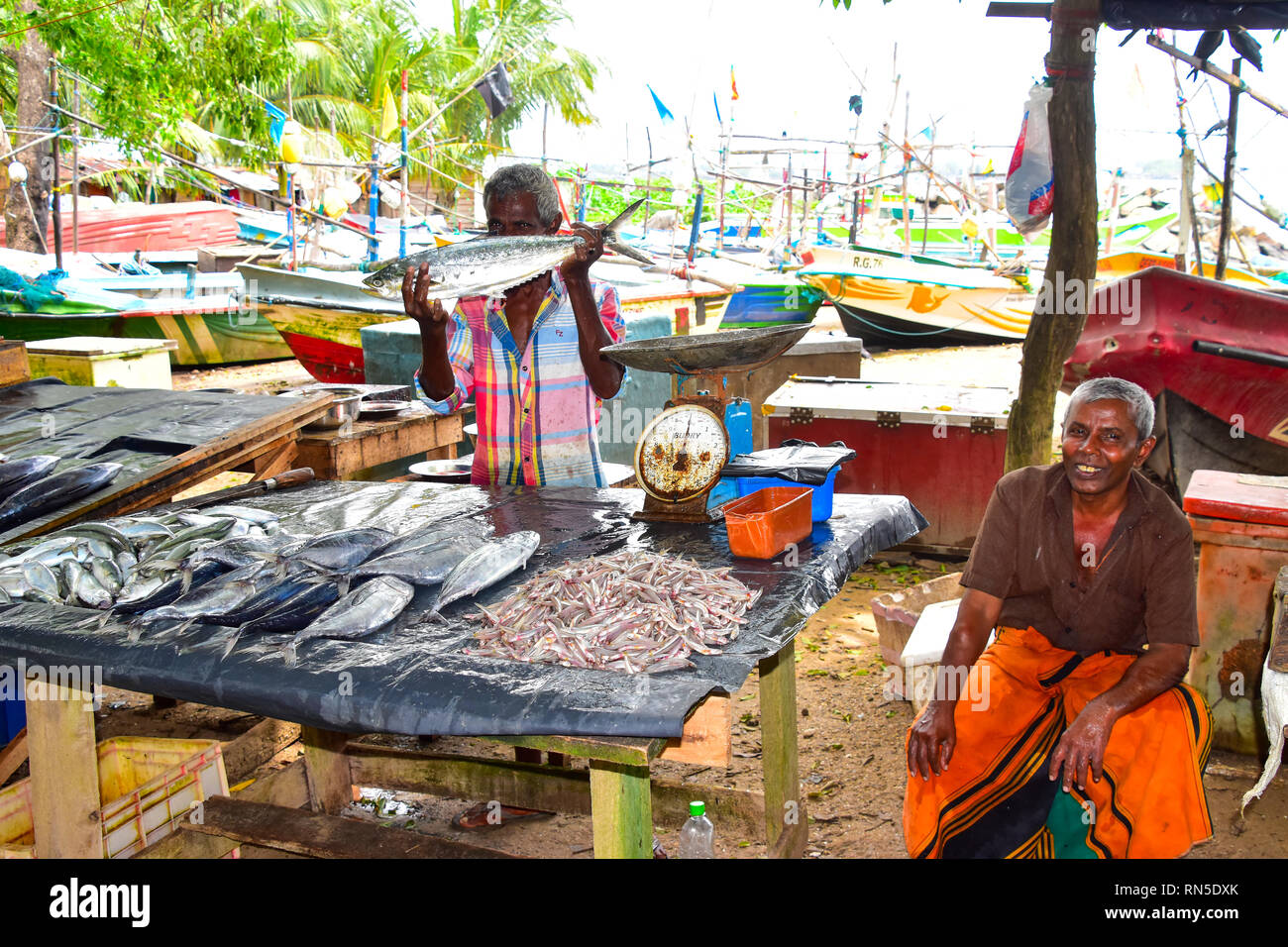 Fishermen, Galle Fish Market, Galle, Sri Lanka Stock Photo - Alamy