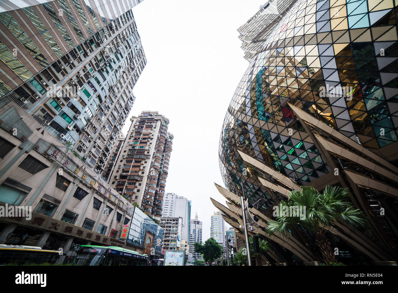 Macau vs macau hi-res stock photography and images - Alamy