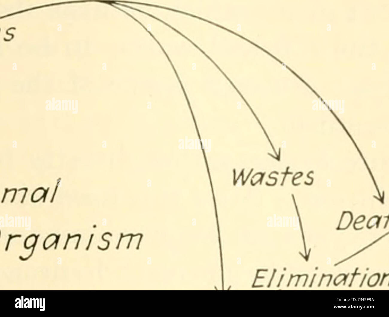 Assimilation coloration hi-res stock photography and images - Alamy