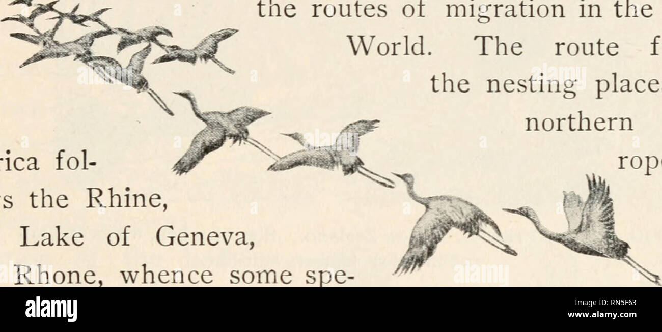 Animal migration routes hi-res stock photography and images - Alamy