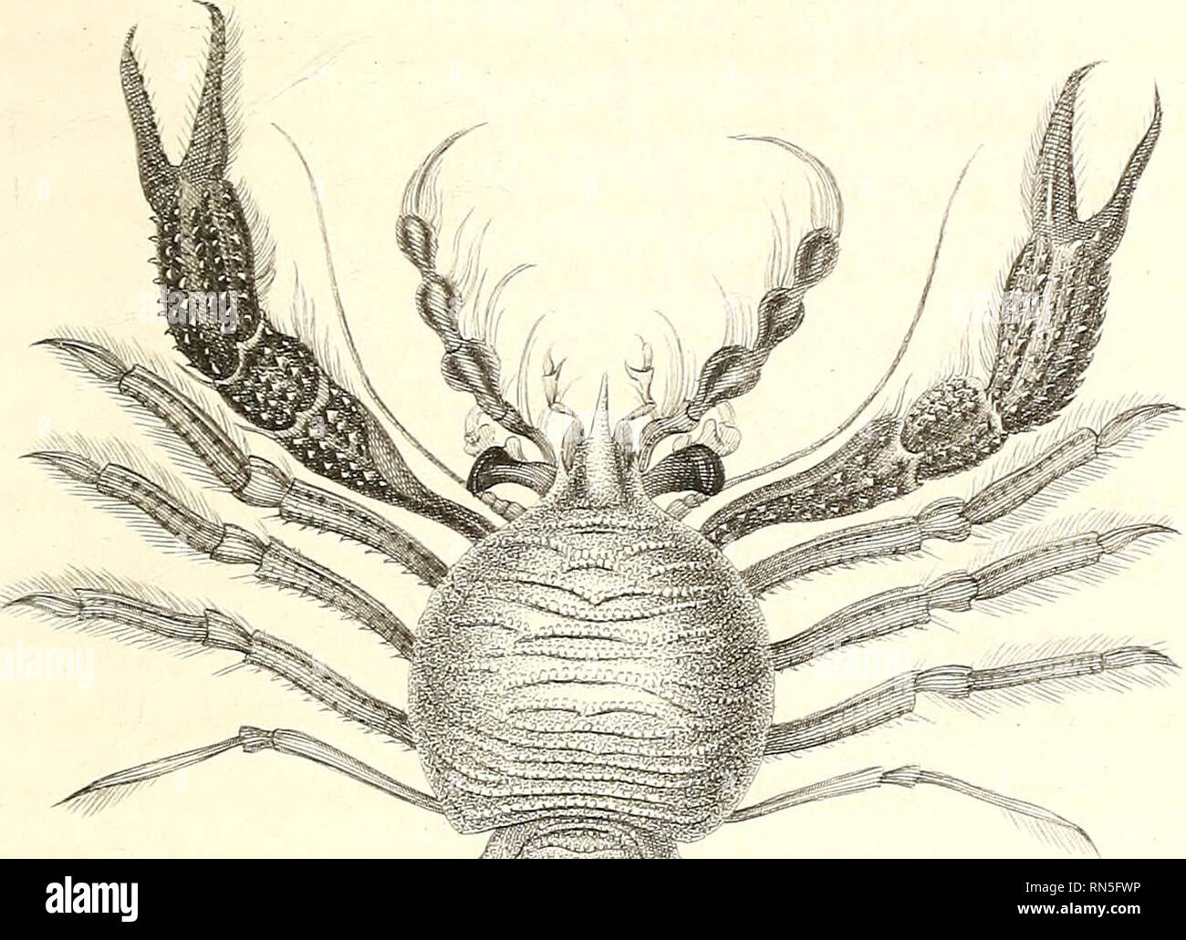 Maria whittaker hi-res stock photography and images - Alamy