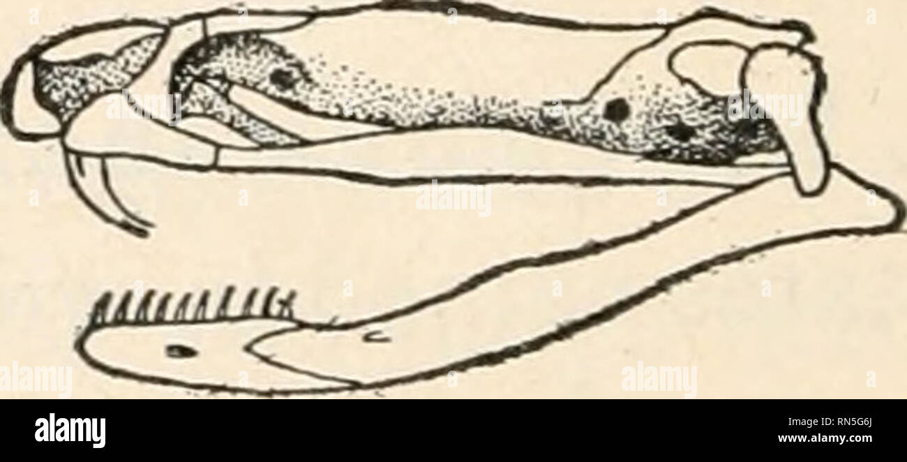 . Animal biology; Human biology. Parts II & III of First course in ...