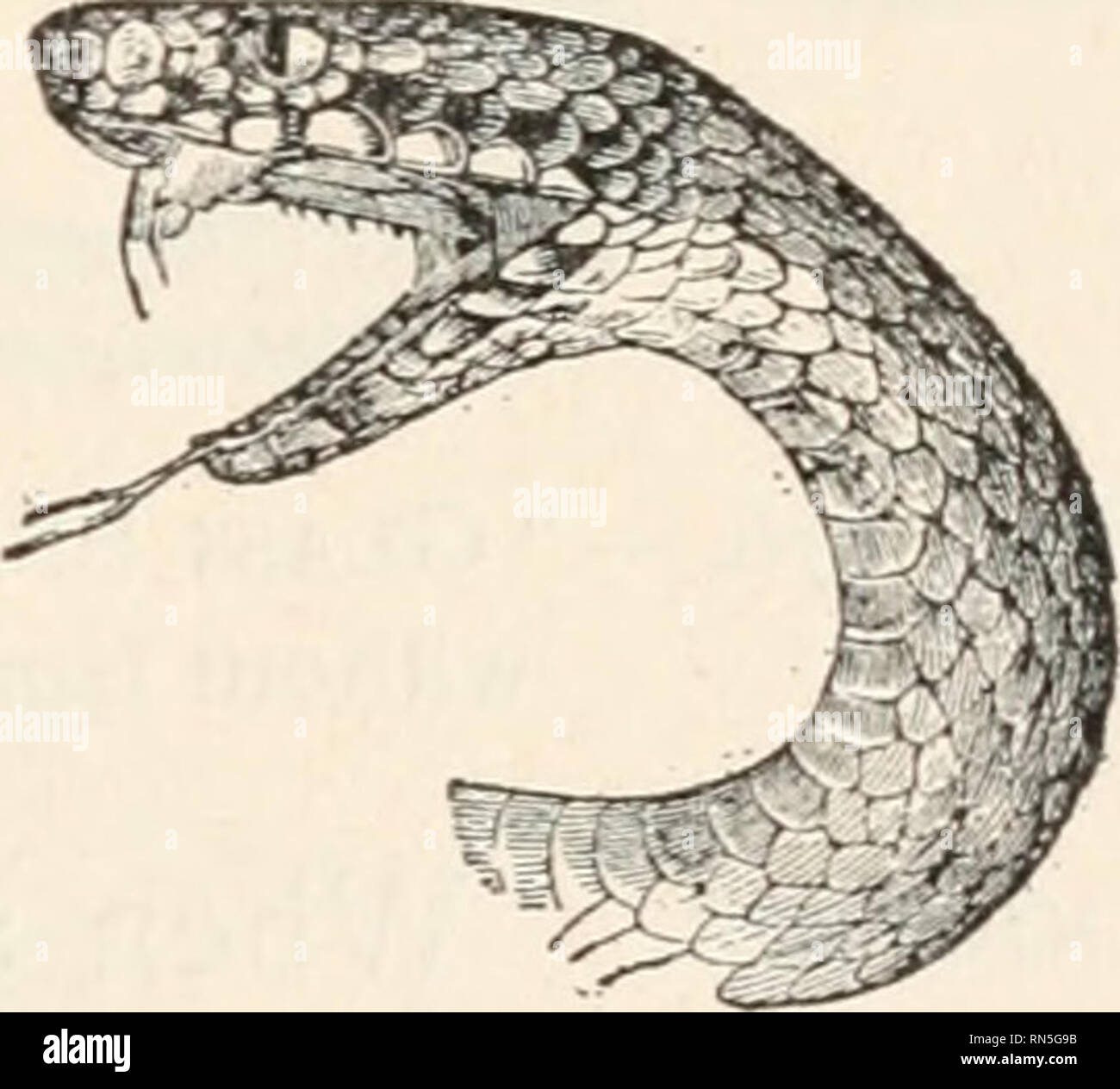 . Animal biology; Human biology. Parts II & III of First course in ...