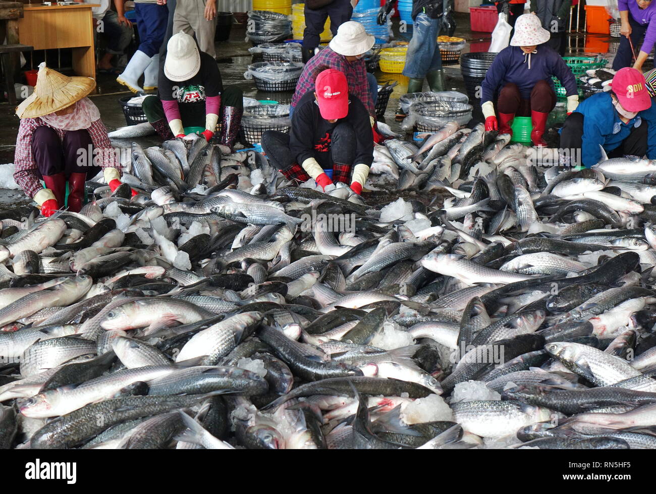 KAOHSIUNG, TAIWAN -- JANUARY 13, 2019: Workers at the Sinda fish market ...