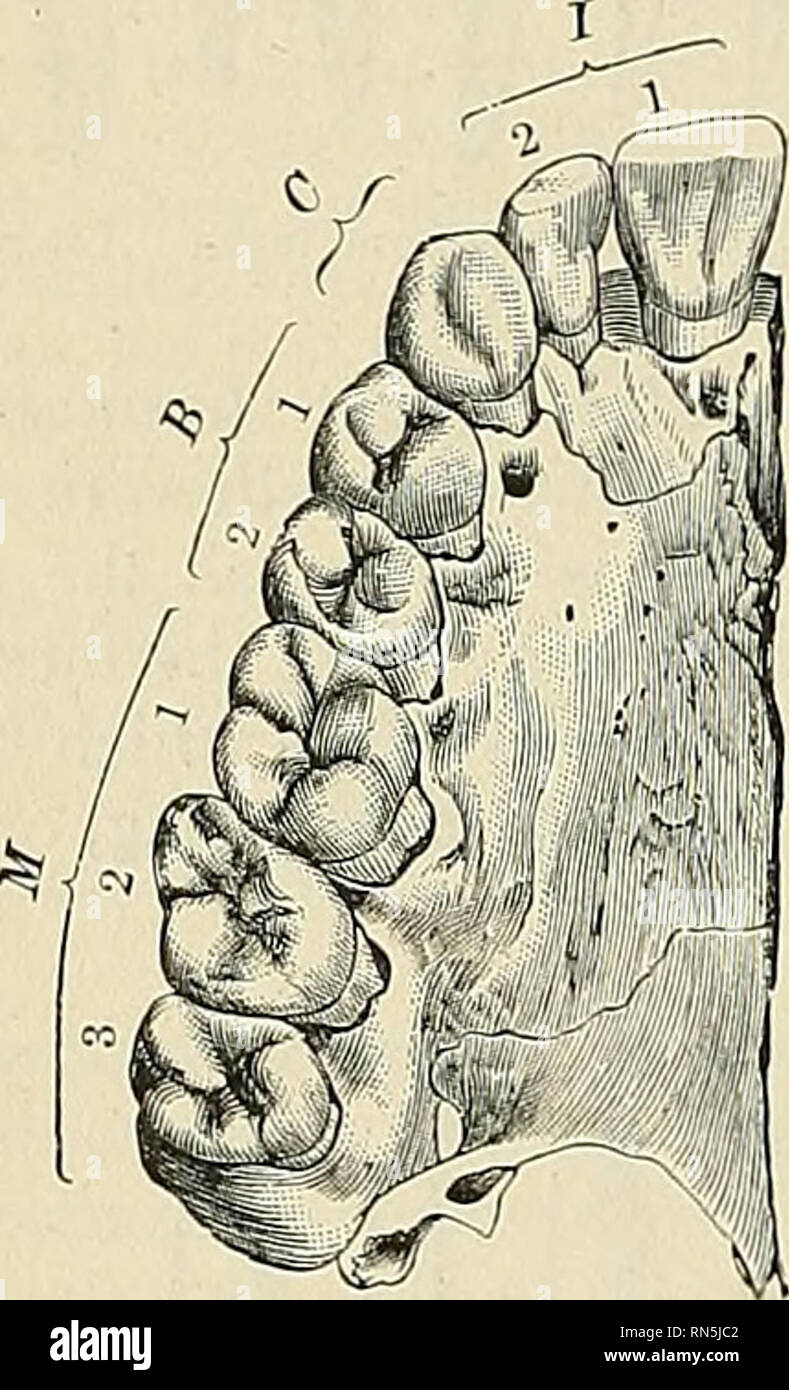 Diverging edge hi-res stock photography and images - Alamy