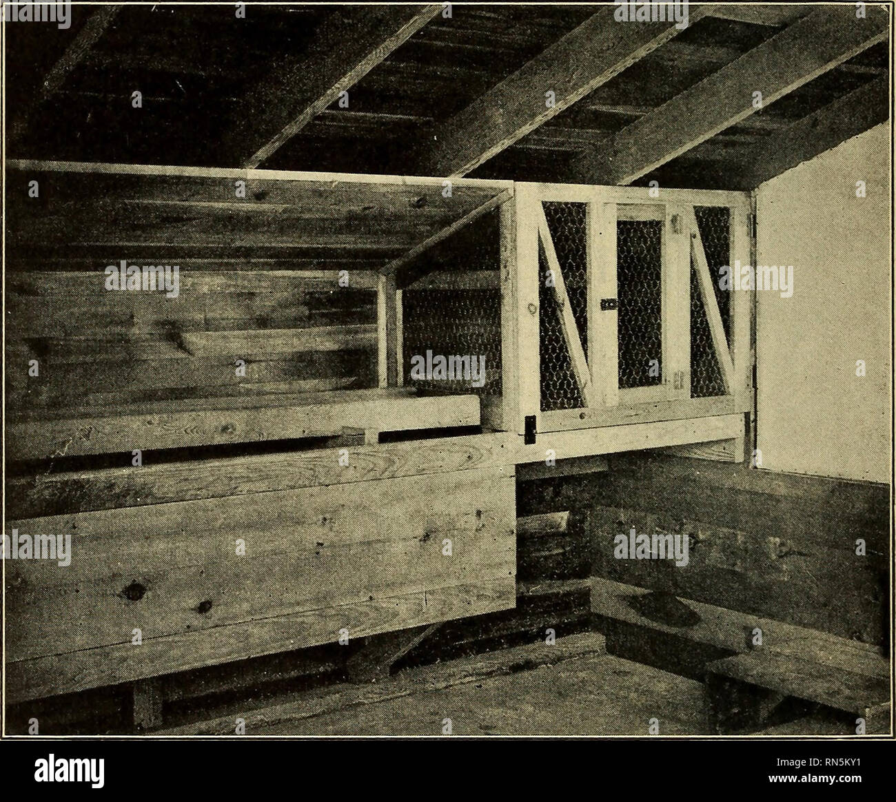 Brooding killing hi-res stock photography and images - Alamy