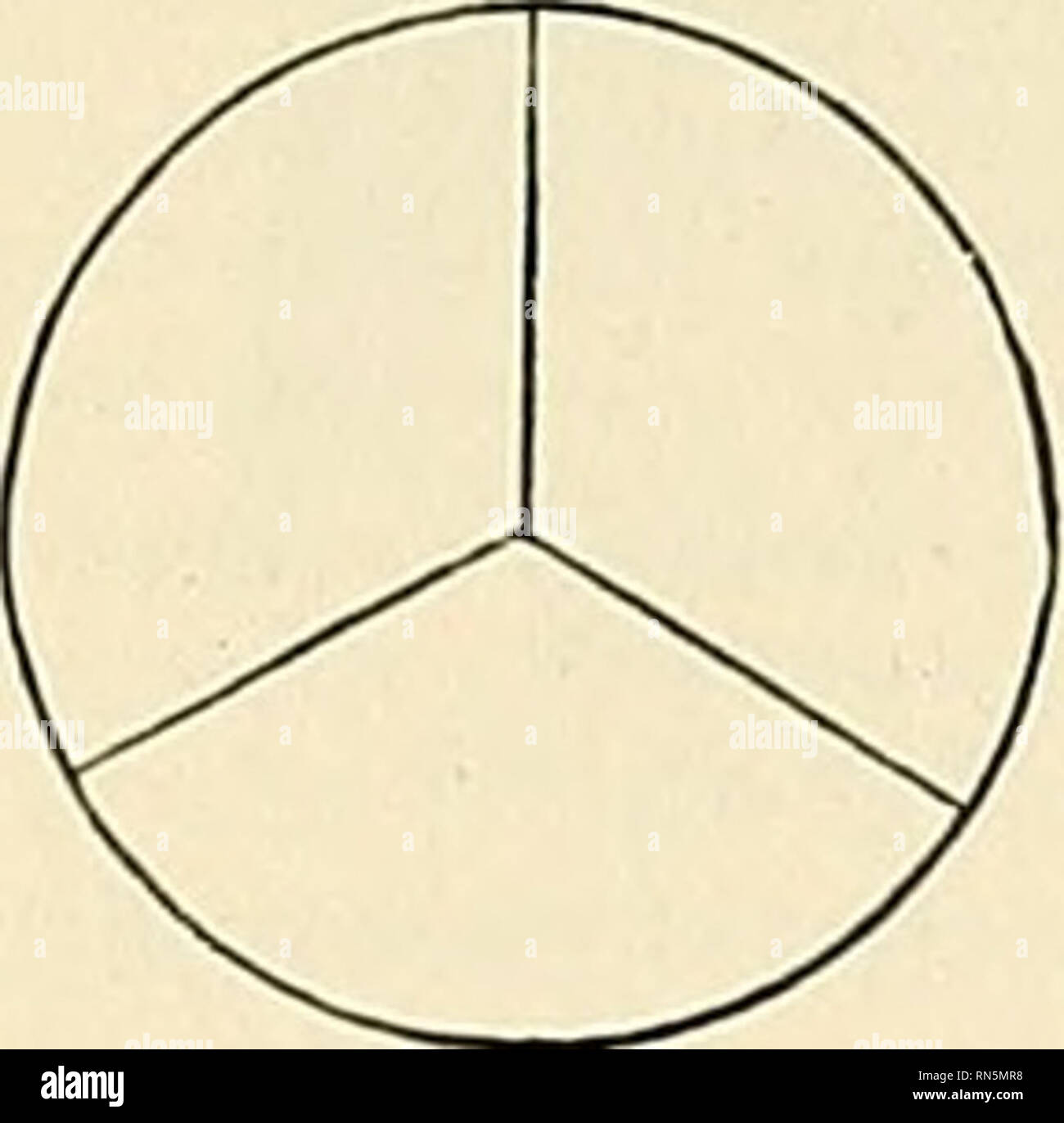 . Anatomy, descriptive and applied. Anatomy. Fig. 825.—The crystalline ...