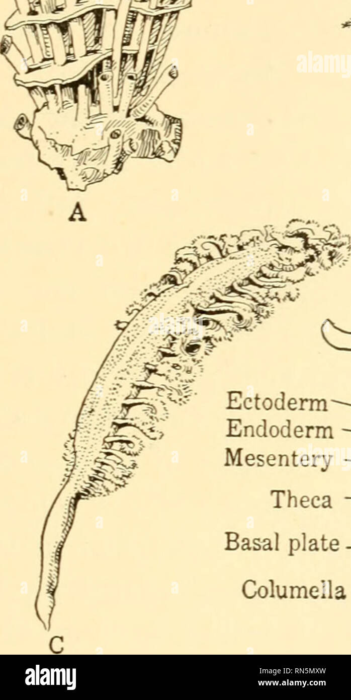 . Animal biology. Biology; Zoology; Physiology. SURVEY OF INVERTEBRATES ...