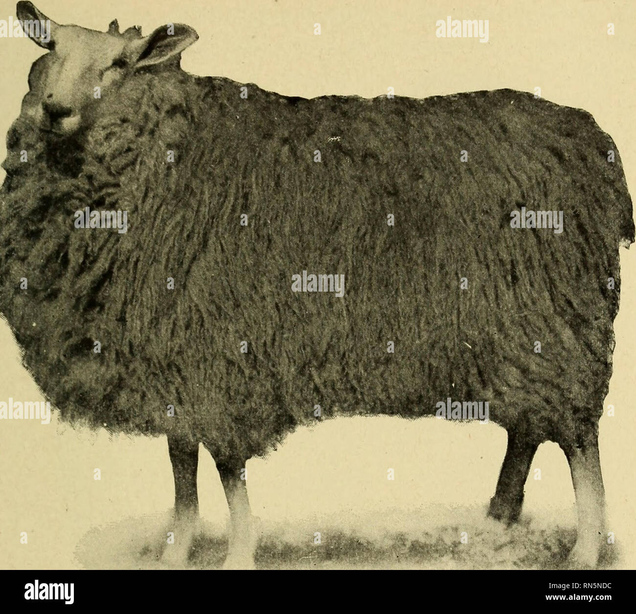 Cots wolds hi-res stock photography and images - Alamy