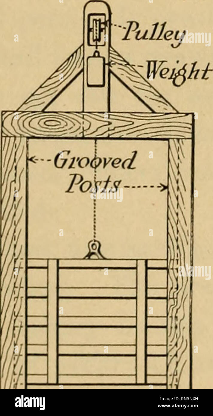 . Animal husbandry. Livestock. Dipping jm0*^"* 7'