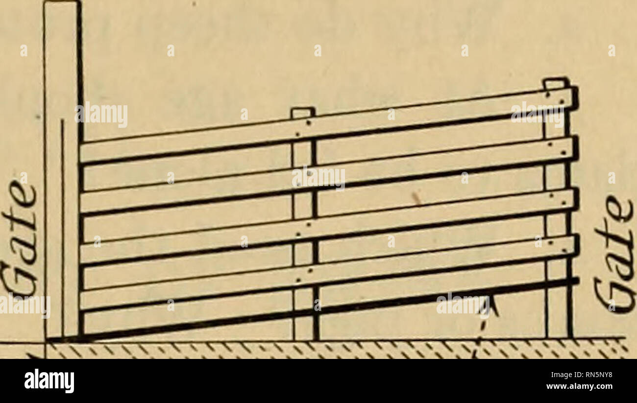 . Animal husbandry. Livestock. Dipping jm0*^"* 7'