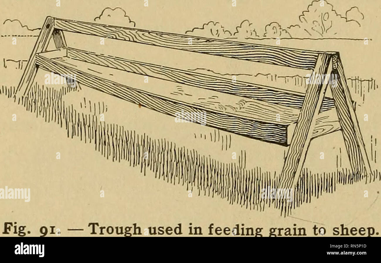 . Animal husbandry. Livestock. 254 CARE OF SHEEP Feeding Racks. — Feed ...