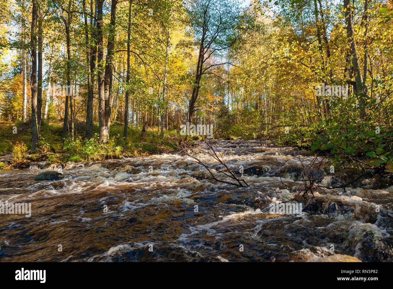 Finland flooding hi-res stock photography and images - Alamy