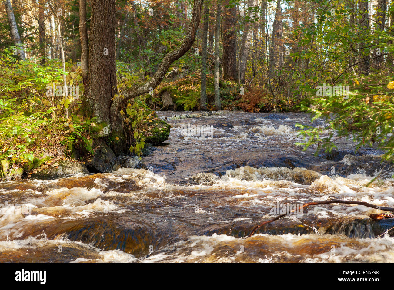 Finland flooding hi-res stock photography and images - Alamy
