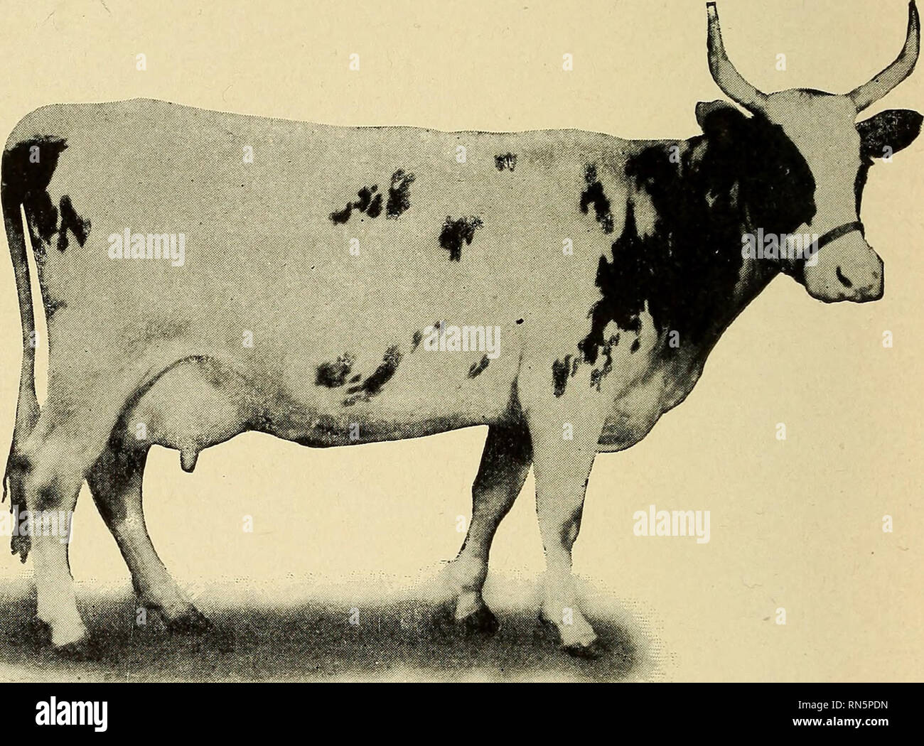 . Animal husbandry for schools. Livestock. 116 Animal Husbandry it was ...