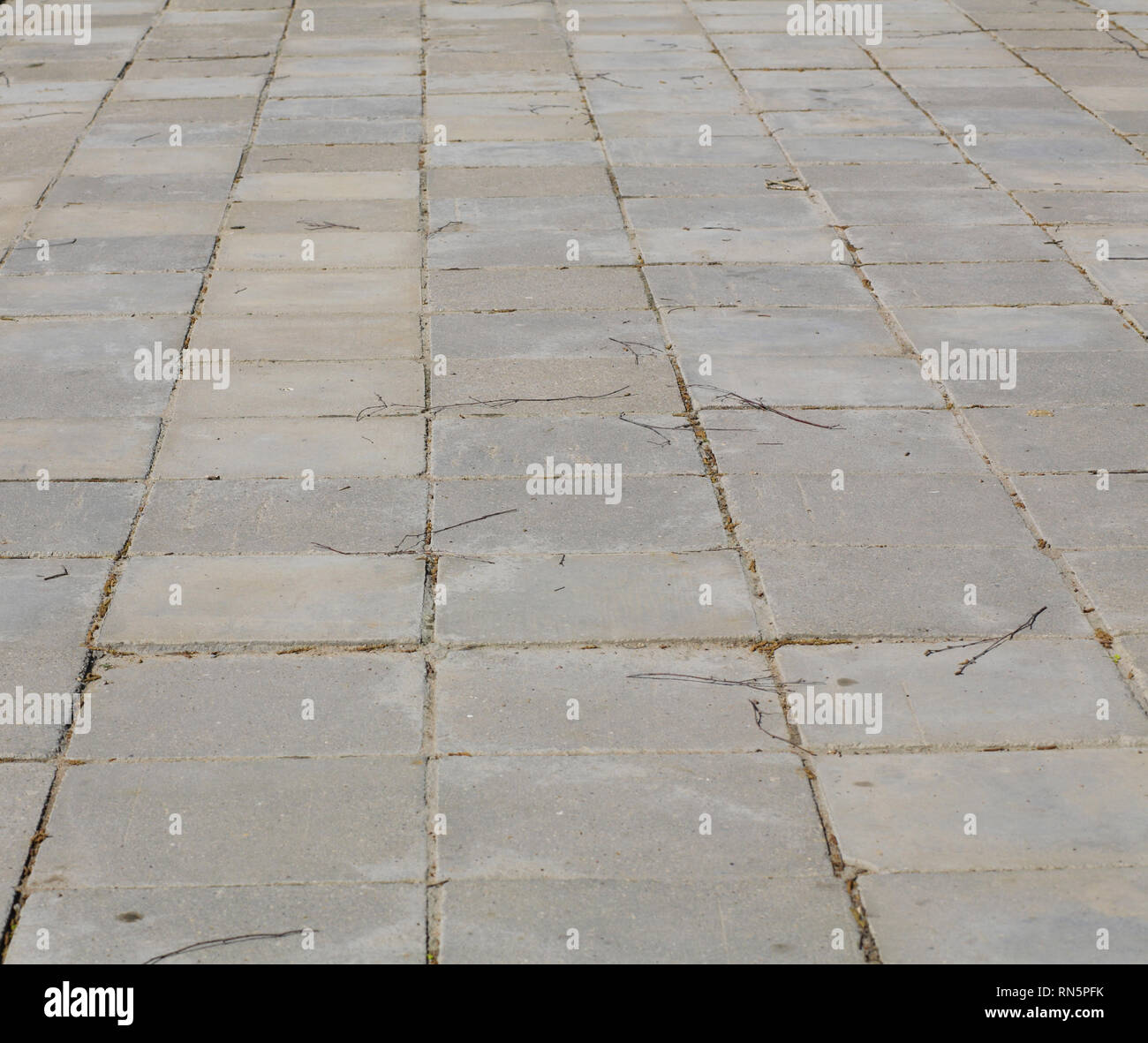 block road in park at spring Stock Photo - Alamy