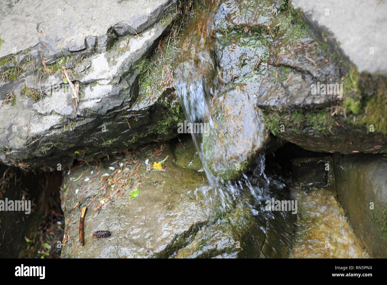 water stream in japan garden at day Stock Photo - Alamy
