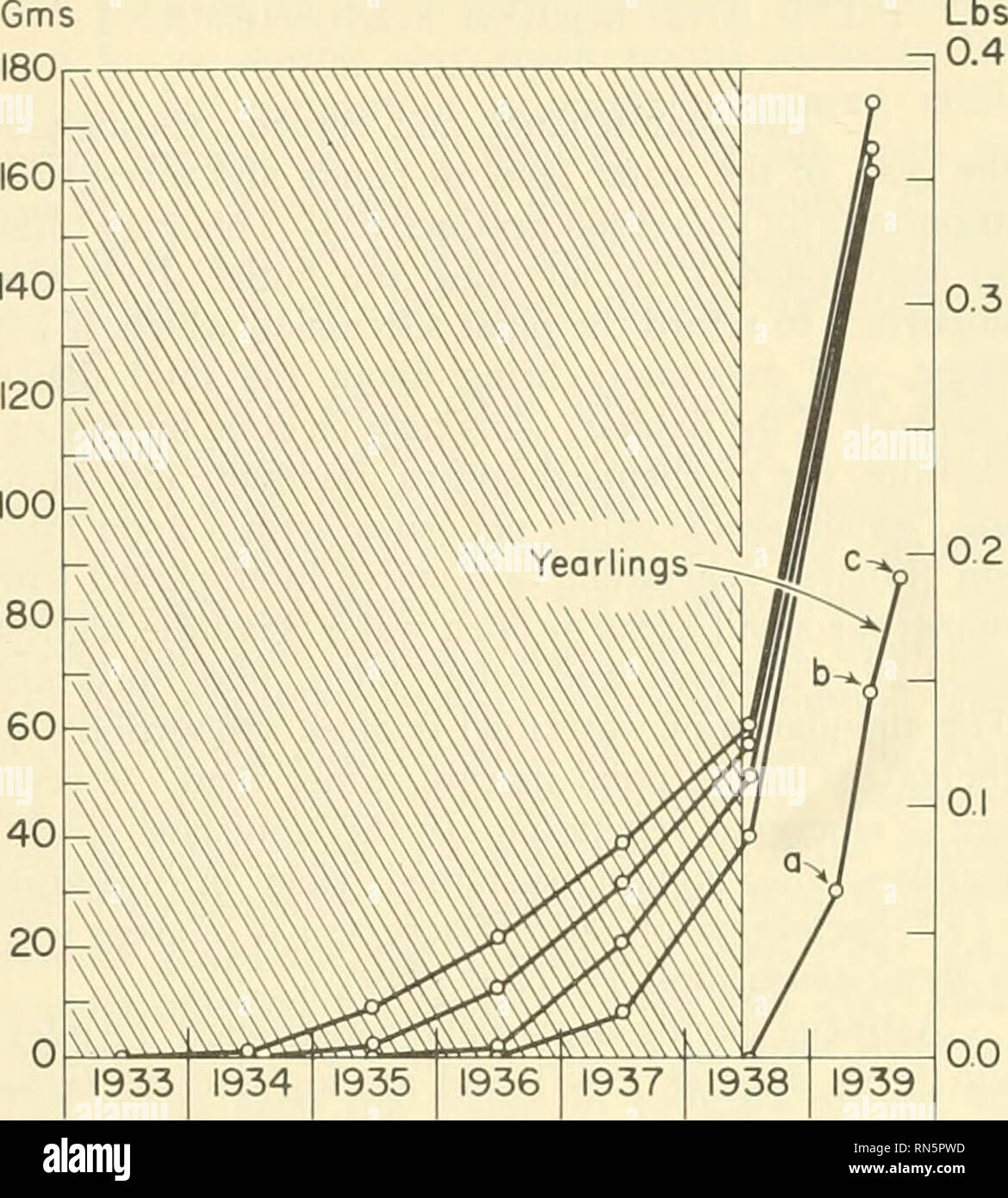 . Animal Ecology. Animal ecology. FIG. 7-4 Increase In weight of ...
