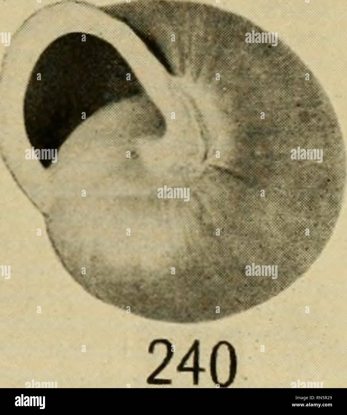 Perspectiva 2 hi-res stock photography and images - Alamy