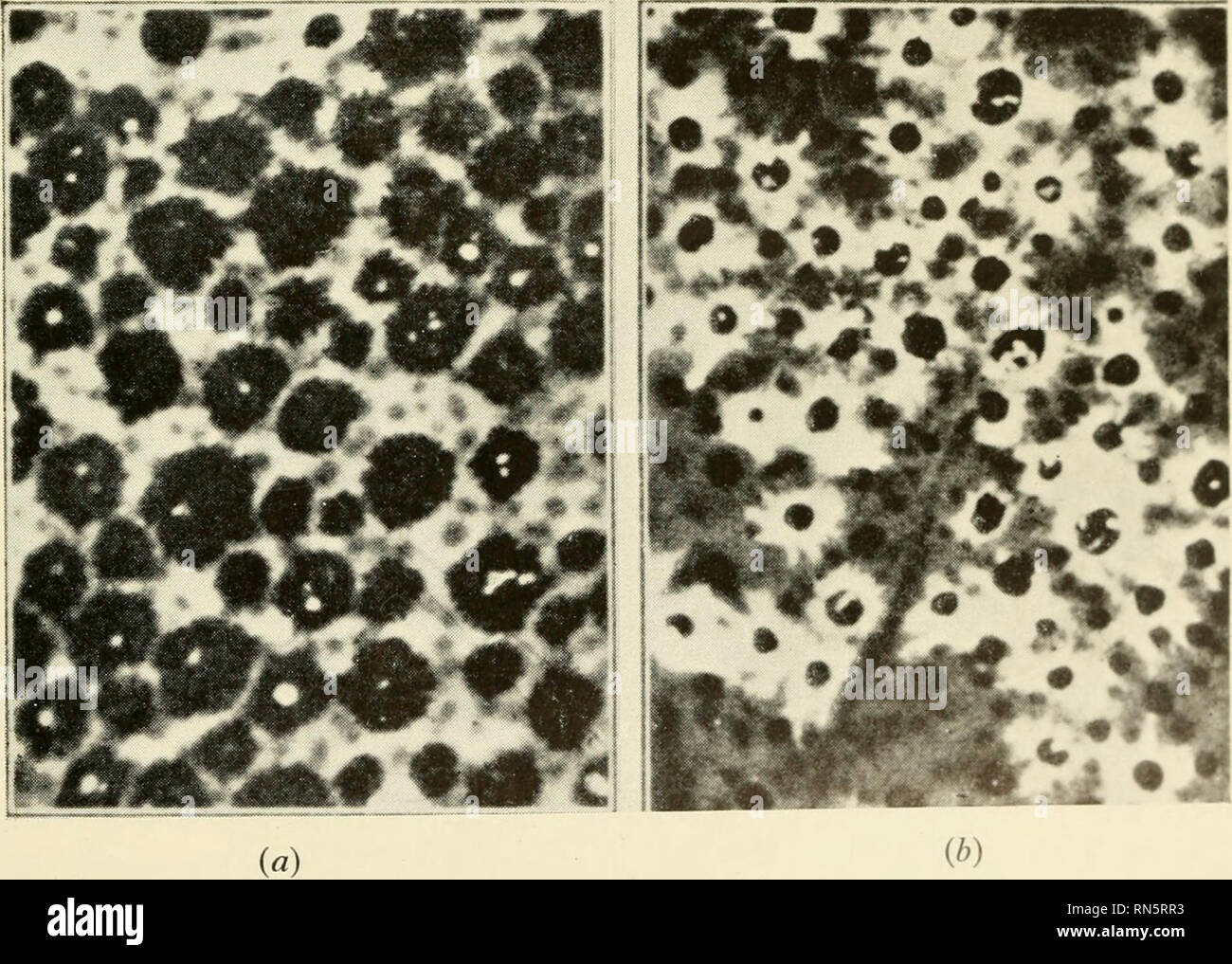 . Animal hormones; a comparative survey. Hormones. 1 2 3 4 5 Fig, 3-14 ...