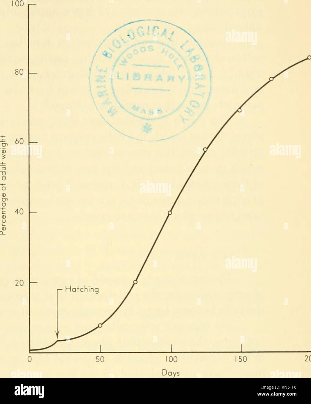 Growth Of Cubic Bacteria Earth's Mysterious, Deep Dwelling Microbes