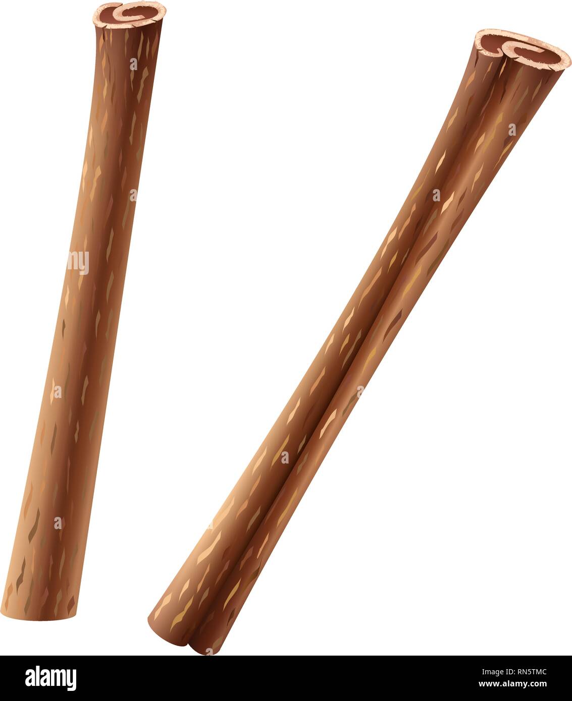Two rolled sticks of cinnamon. Vector illustration Stock Vector Image ...