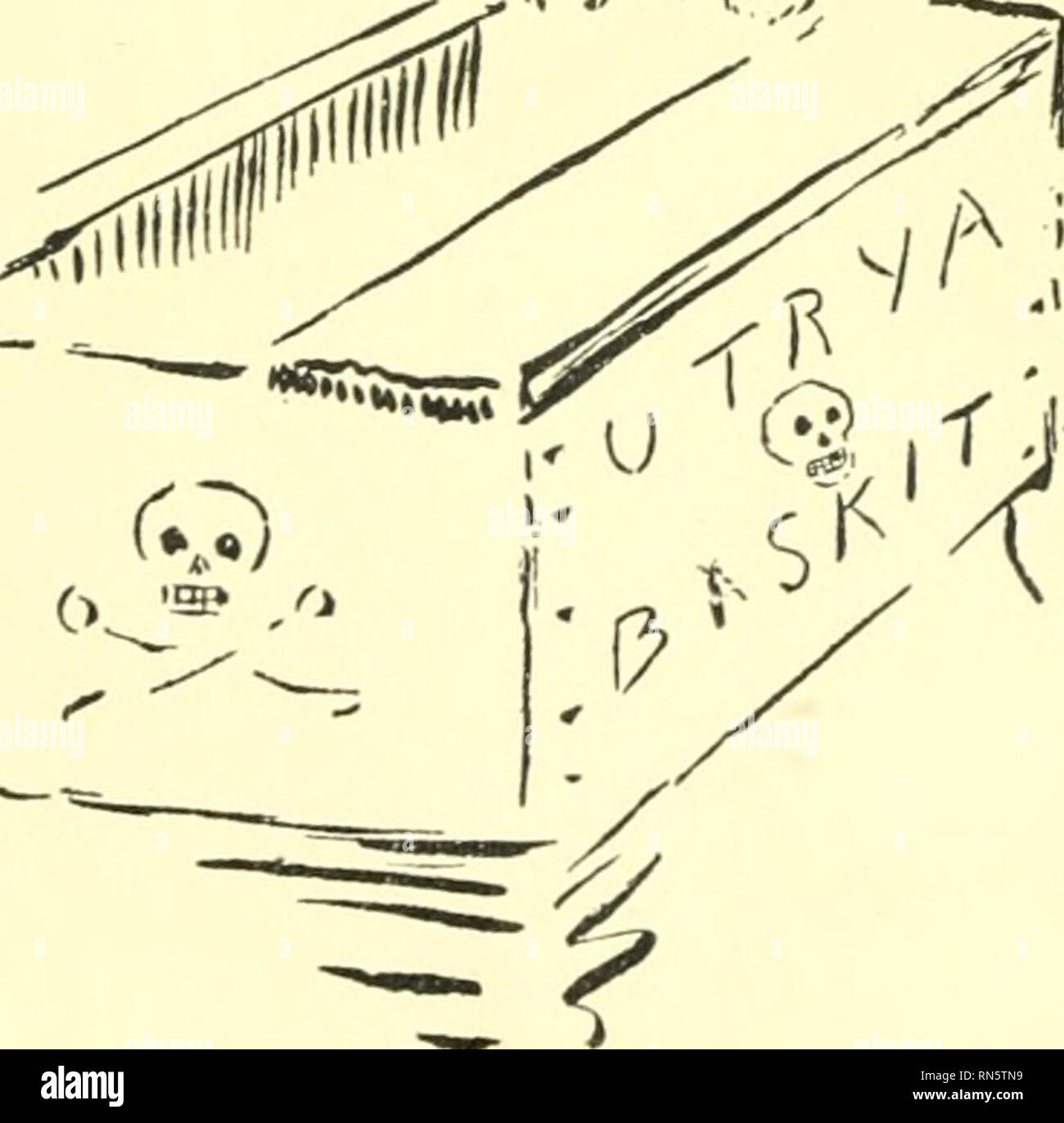 Lynx in a box hi-res stock photography and images - Alamy