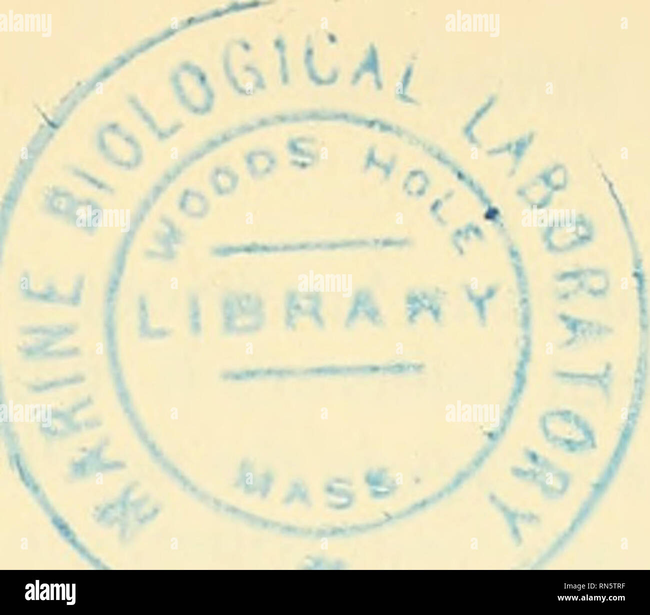 Curt stern hi-res stock photography and images - Alamy