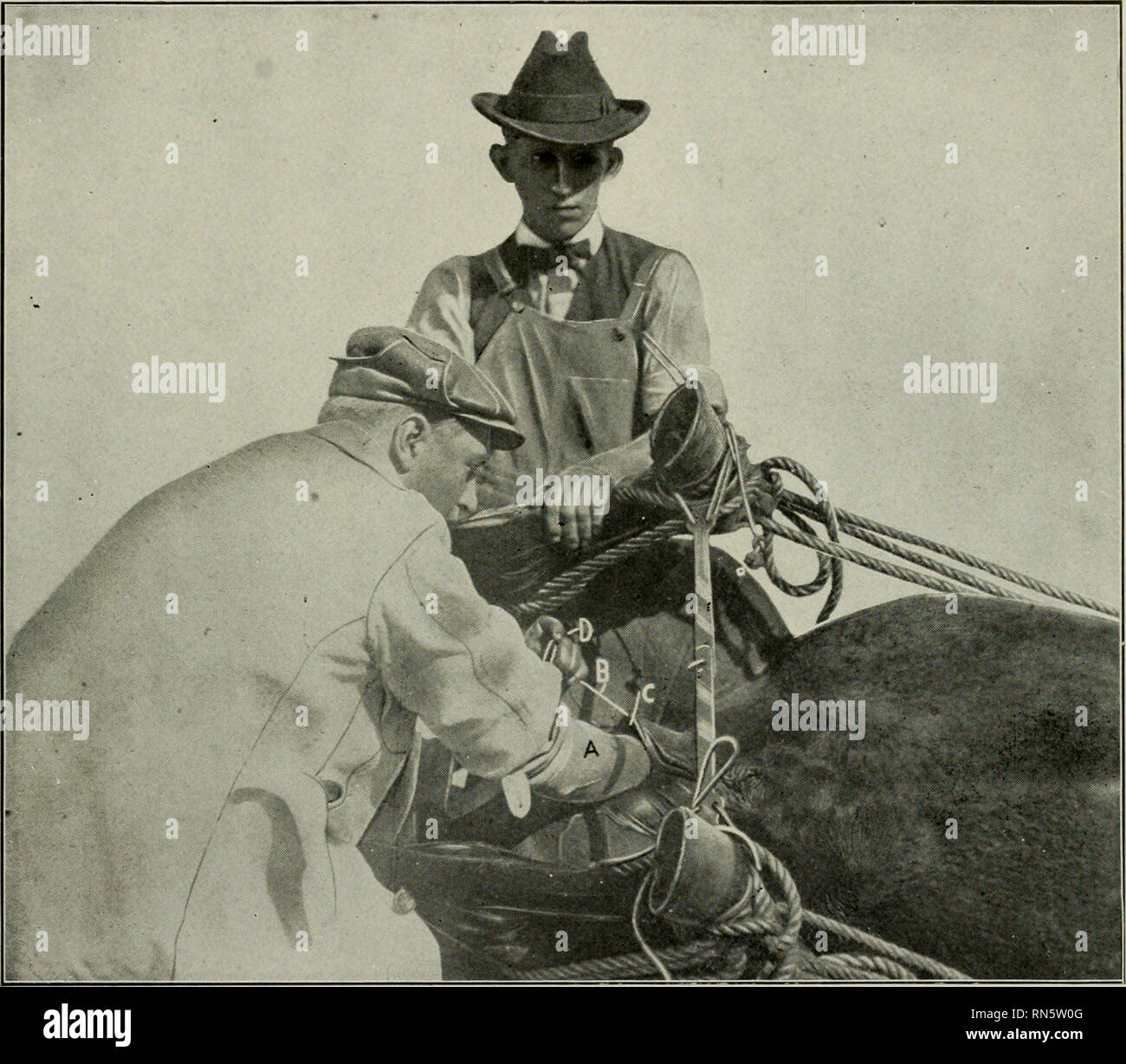 . Animal castration; a book for the use of students and practitioners ...