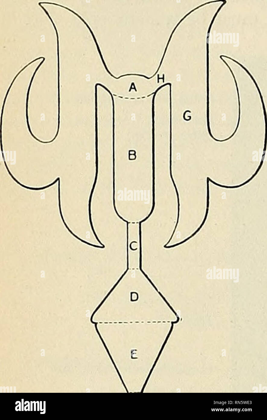 Demarcates hi-res stock photography and images - Alamy