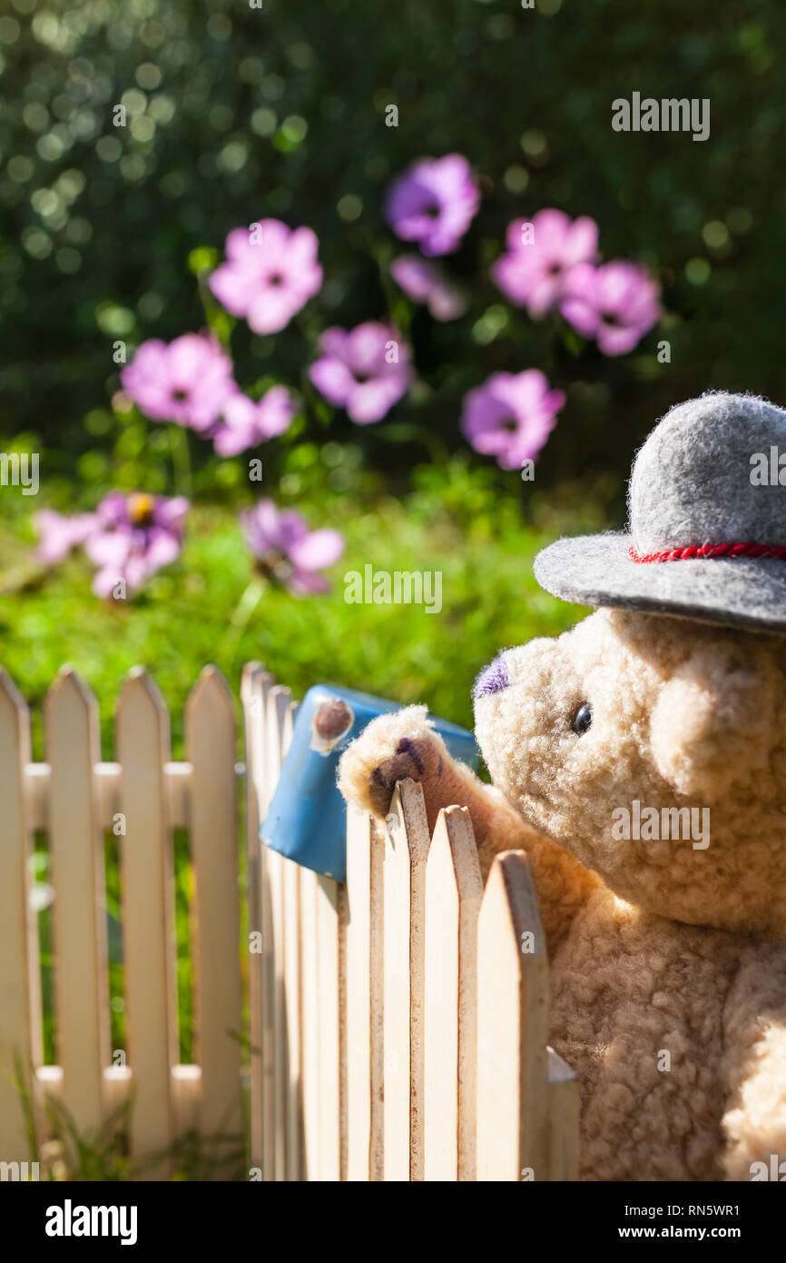 Gardener teddy bear wear traditional farmer hat, looking over garden ...