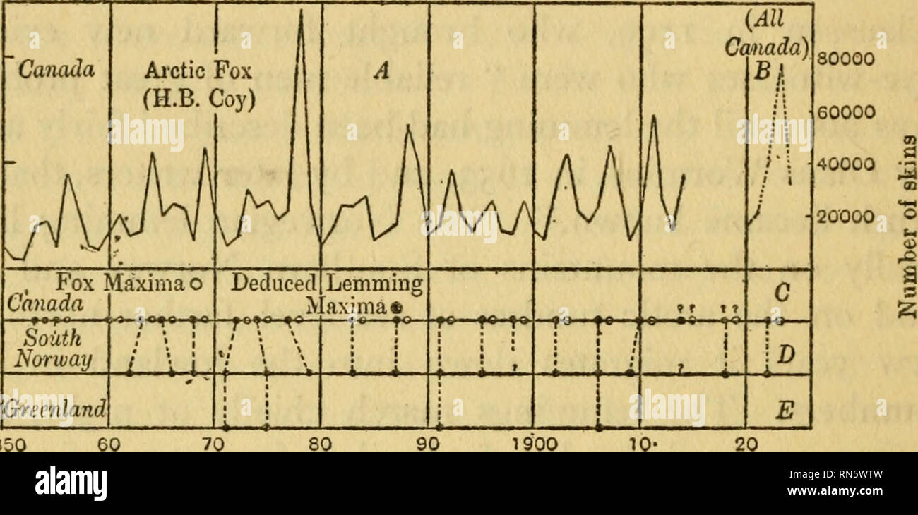 Arctic Fox Population Graph
