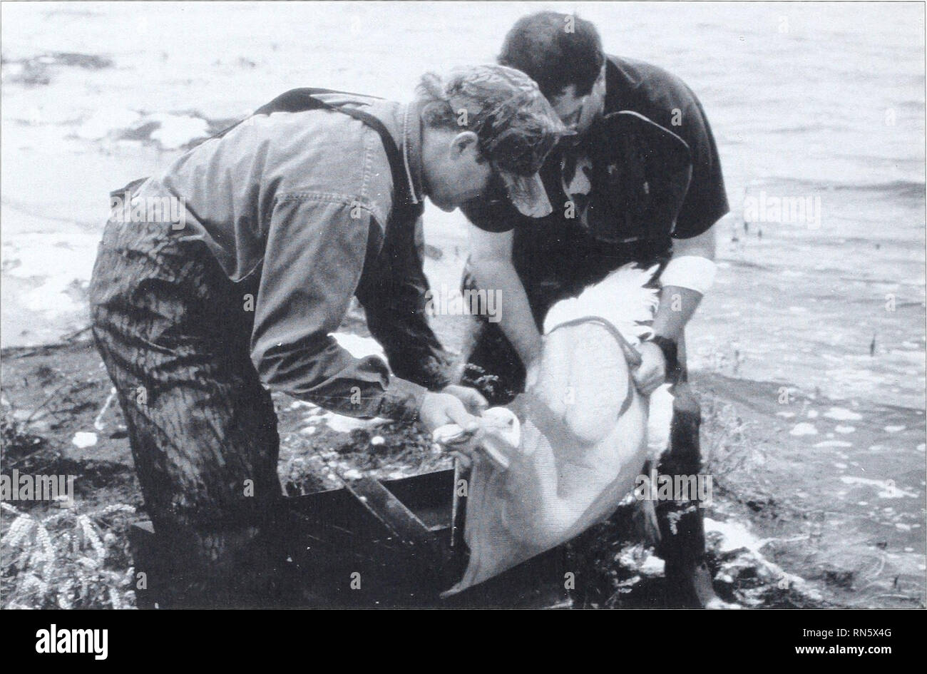 . Animal Damage Control Program highlights, 1996. Animal Damage Control ...