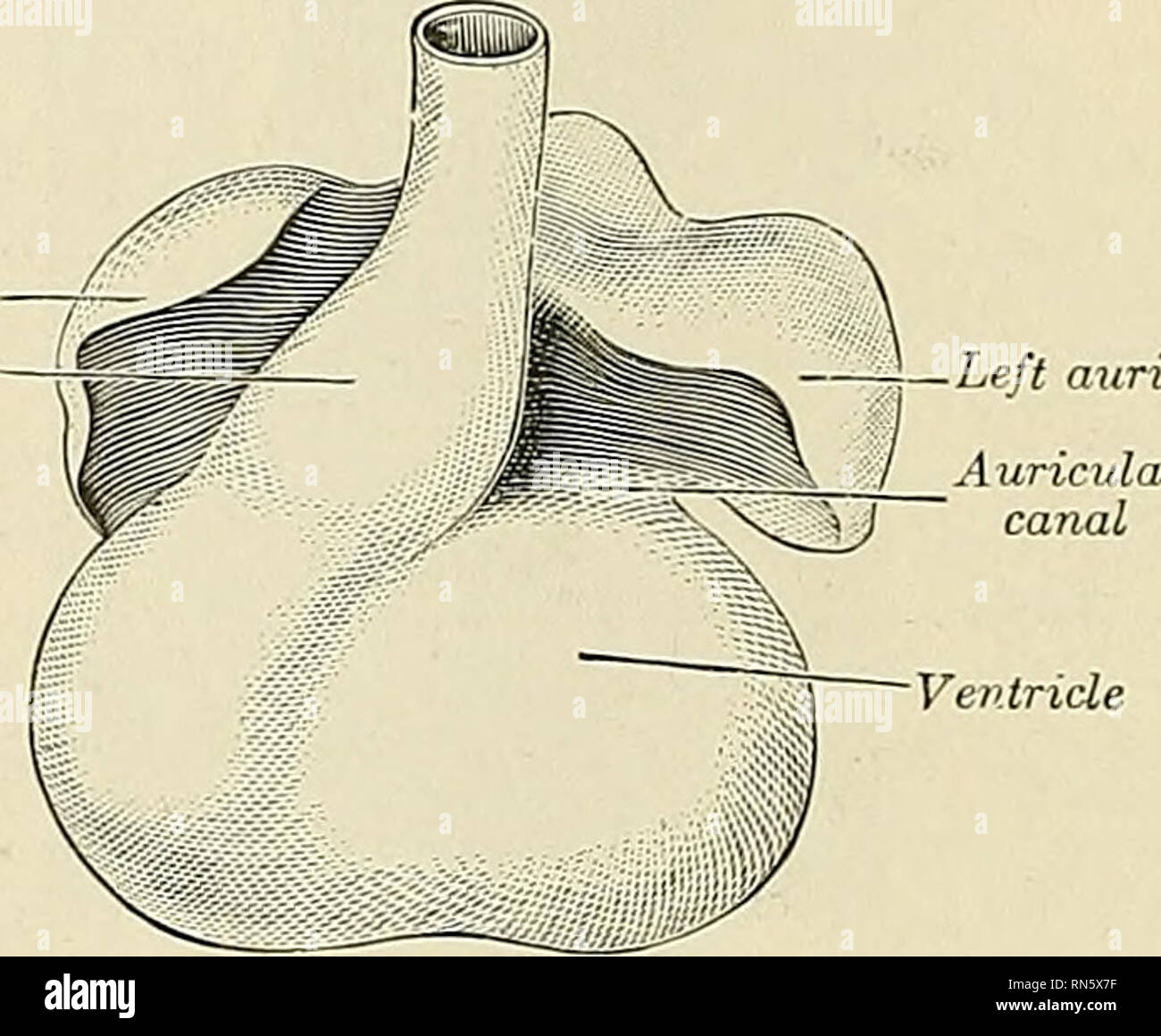 Median aperture hi-res stock photography and images - Alamy