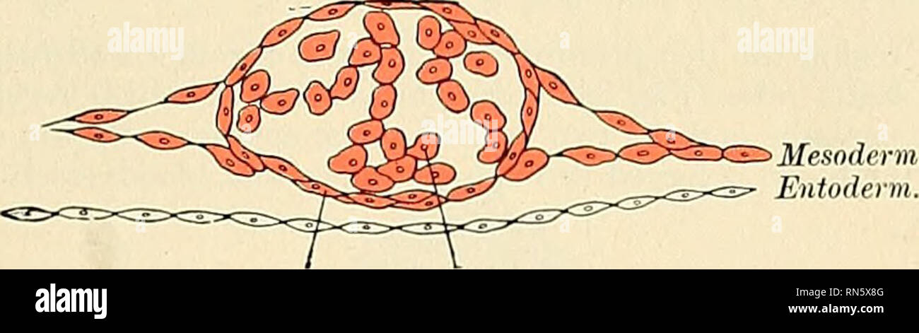 Commencing development hi-res stock photography and images - Alamy